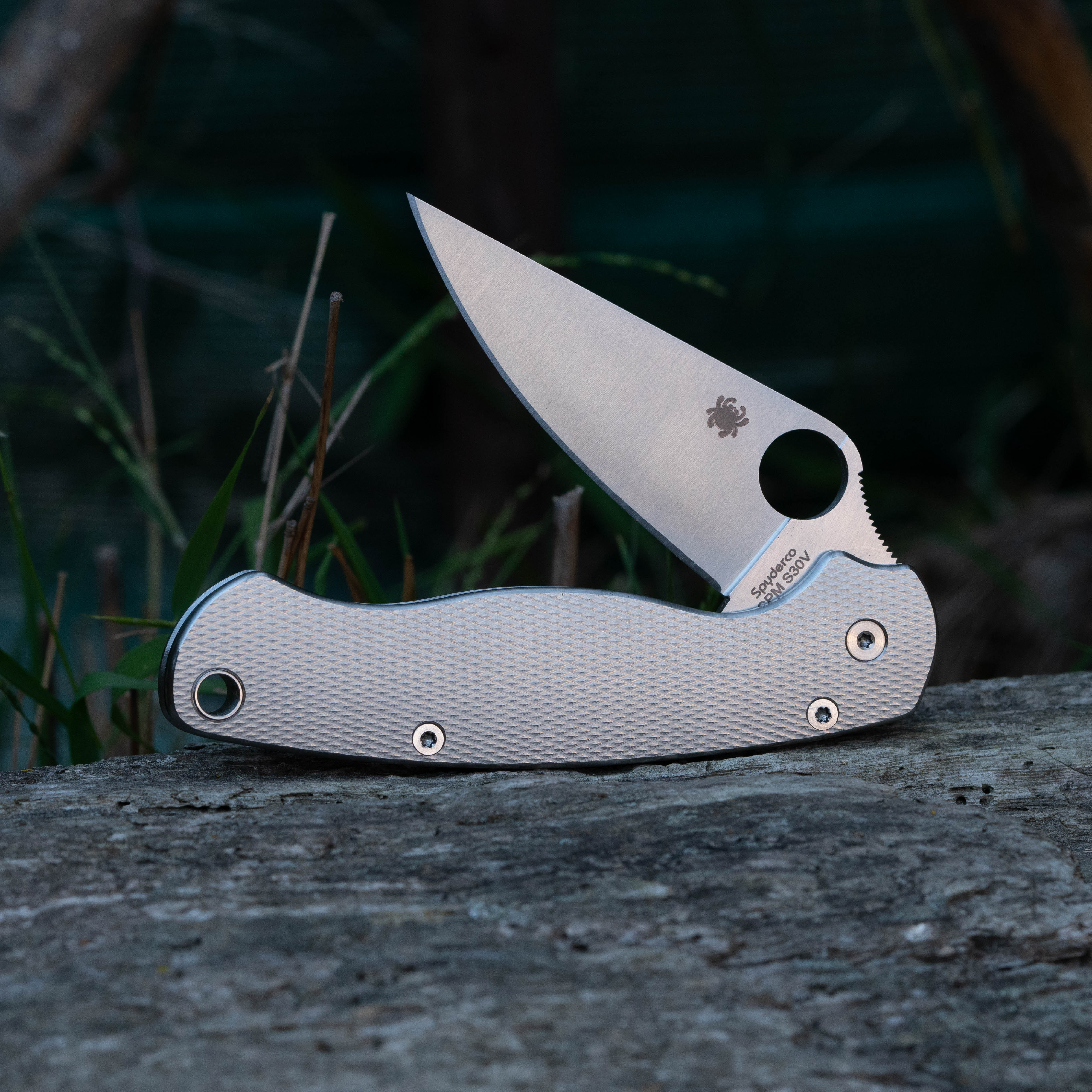 PM2 Titanium Scales - Diamond pattern – RG Custom Metal Works